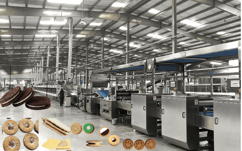 Sandwich Biscuit Machine for Cream-Filled Cookie Production - EverSmart