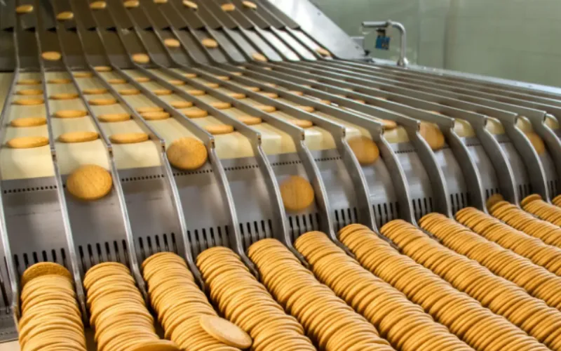 Stop Wrapper Jams: How a Biscuit Flipper Solves Downstream Bottlenecks ...